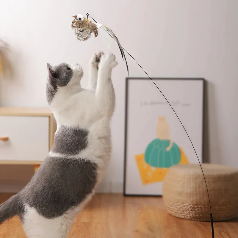 Interactive Bird Shaped Cat Toy