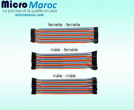 Câble de connexion 10 Fils De Prototypage Male - femelle ou mixte