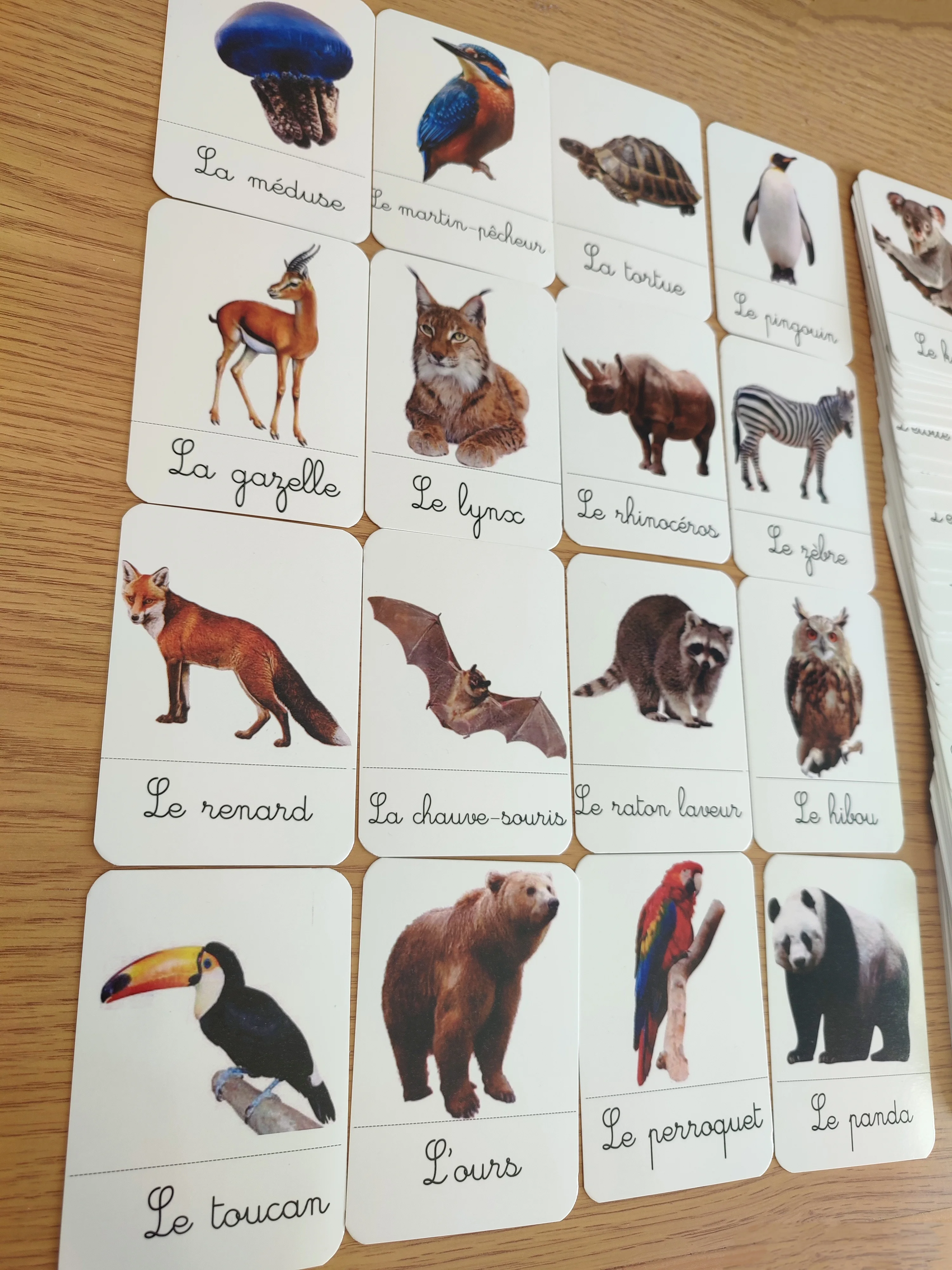 72 Cartes de nomenclature des animaux (français)