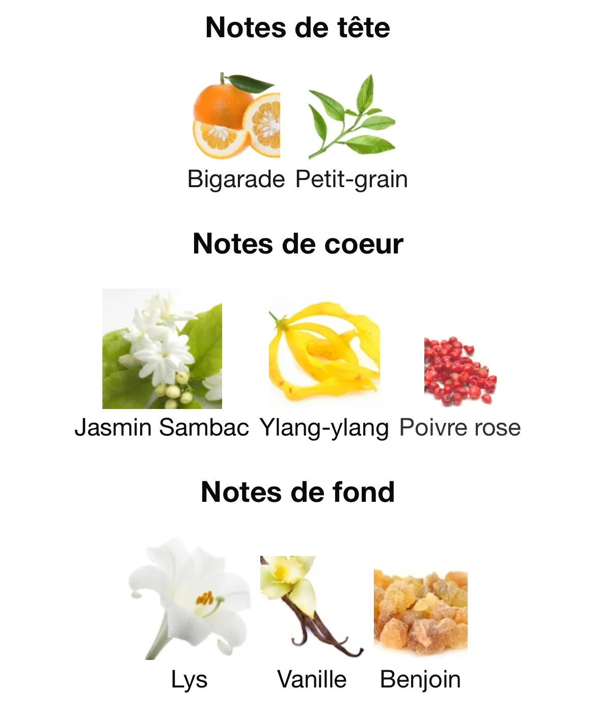 ARMANI PRIVE VERT MALACHITE