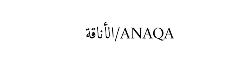 Jewelry ANAQA