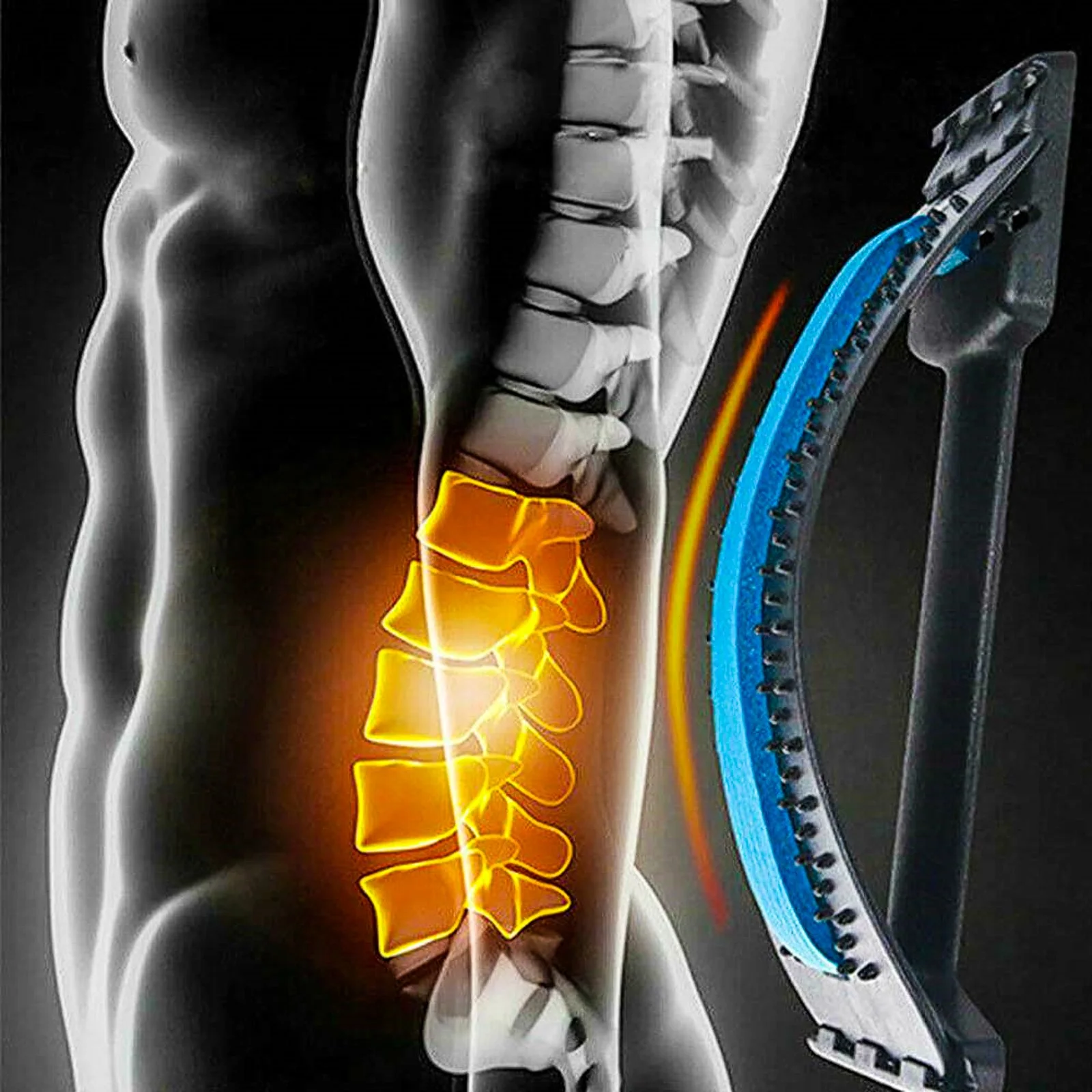 PRO+BACK™ SIGNATURE BACK SUPPORT